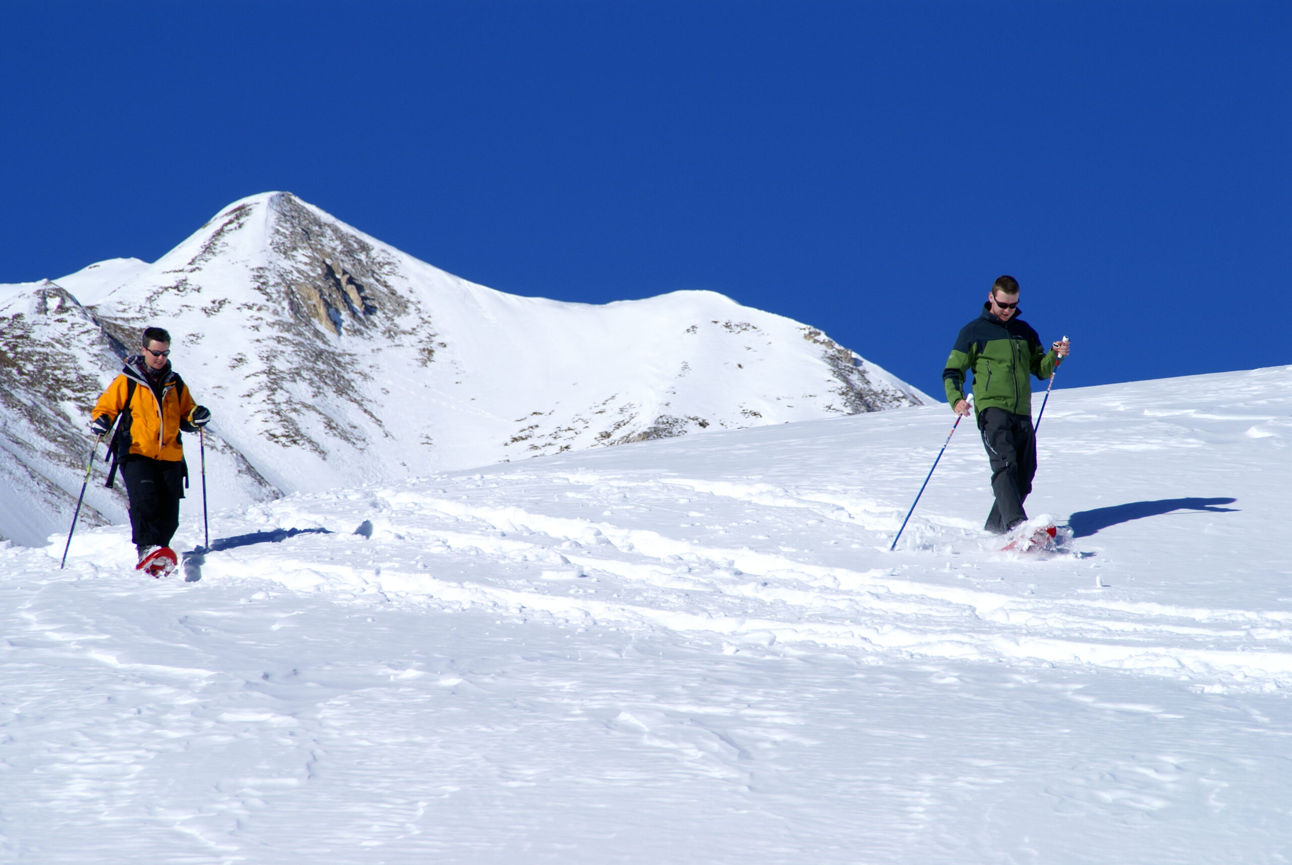 Cima Marmotta 3331 m - Guide Alpine Val di Sole